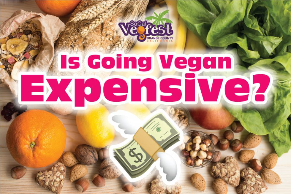 Is A Vegan Diet Expensive It Doesn t Need To Be If You Stick To Whole Is A Vegan Diet Expensive It Doesn t Need To Be If You Stick To Whole